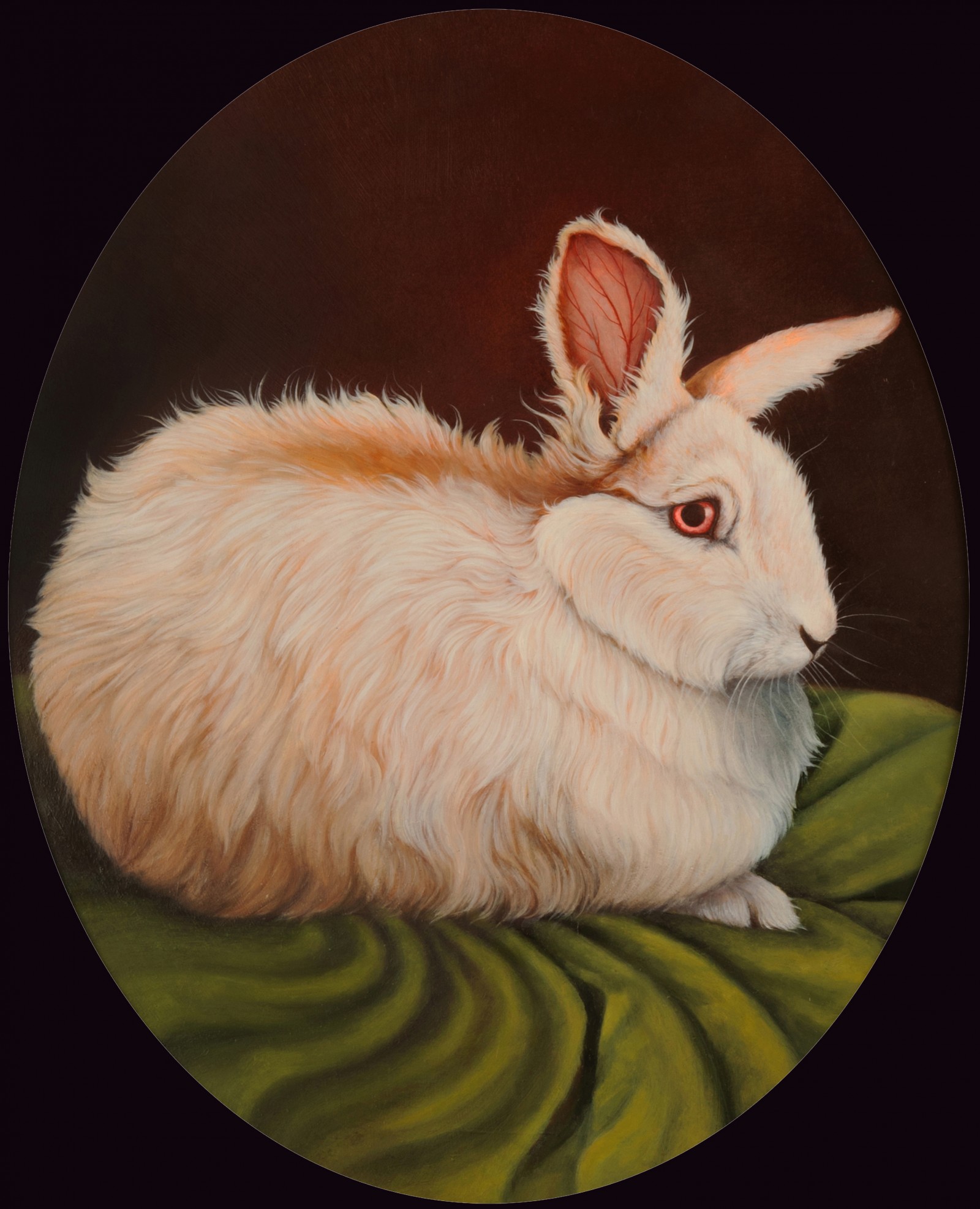 Portrait of a White Rabbit: part 2 | Stephanie Ezzo